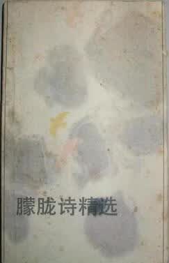 朦胧诗精选【好书，下单速发】