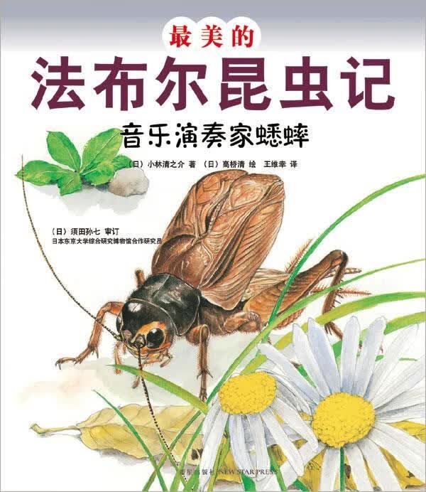 音乐演奏家蟋蟀【好书，下单速发】