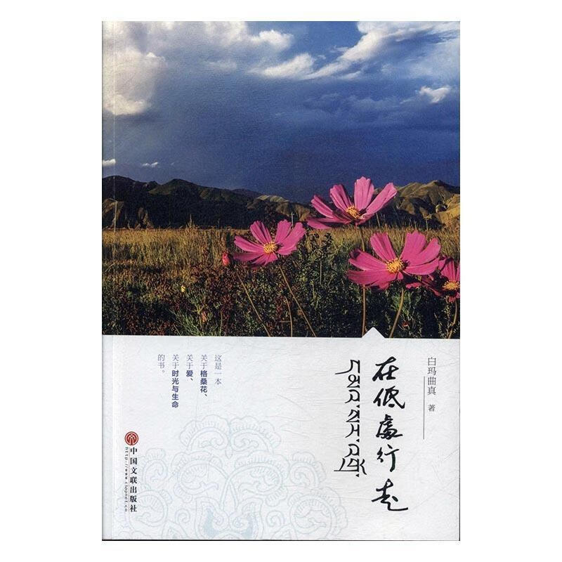 在低处行走【好书，下单速发】