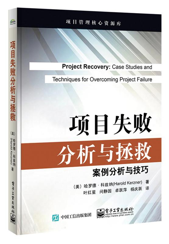 项目失败分析与拯救:案例分析与技巧