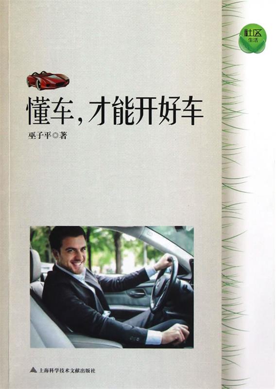 懂车，才能开好车 巫子平著