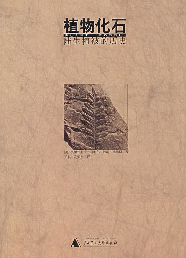 植物化石:陆生植被的历史