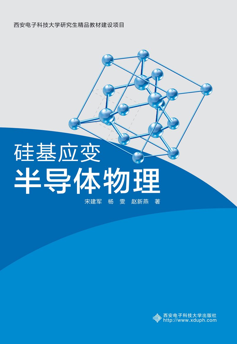 硅基应变半导体物理（研究生）【精选】
