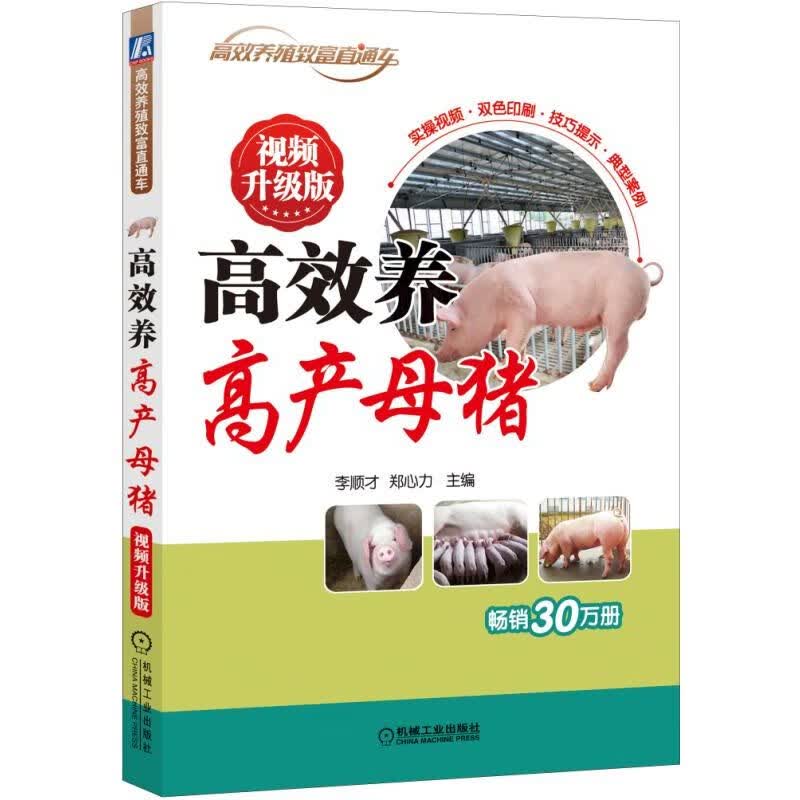 高效养高产母猪视频升级版 李顺才 母猪 高产 养殖 繁殖 高效养殖致富直通车
