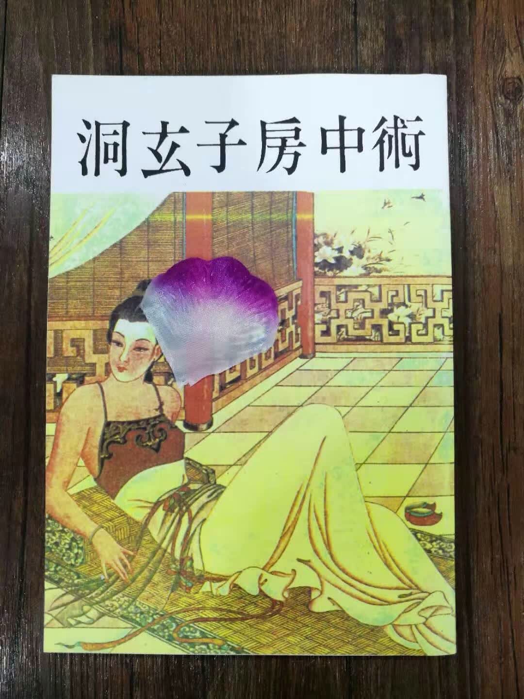 房内游戏指导用书《洞玄子》