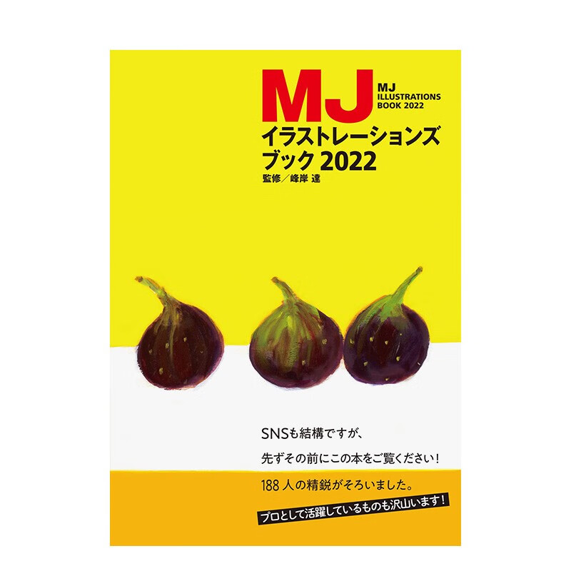MJ插画集2022 MJイラストレ—ションズブック2022 PIE 日文原版进口插画作品集 善本图书