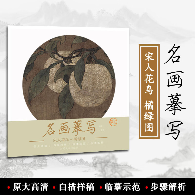 名画摹写 宋人花鸟 橘绿图原大高清白描样稿临摹示范步骤解析工笔画初学者入门临摹零基础手绘教程学生成人自学国画工笔画教程