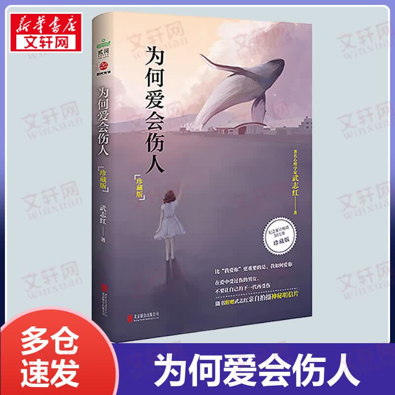 为何爱会伤人 珍藏版 武志红心理学书籍