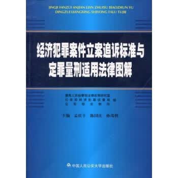 经济犯罪案件立案追诉标准与定罪量刑适用法律图解【好书，下单速发】