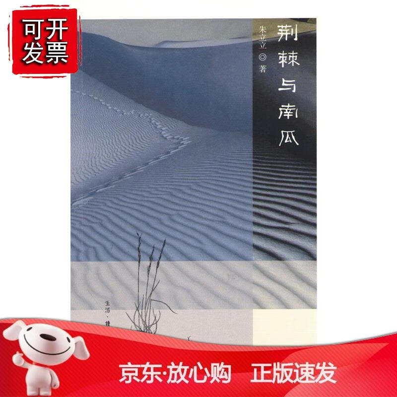 荆棘与南瓜 朱立立 著