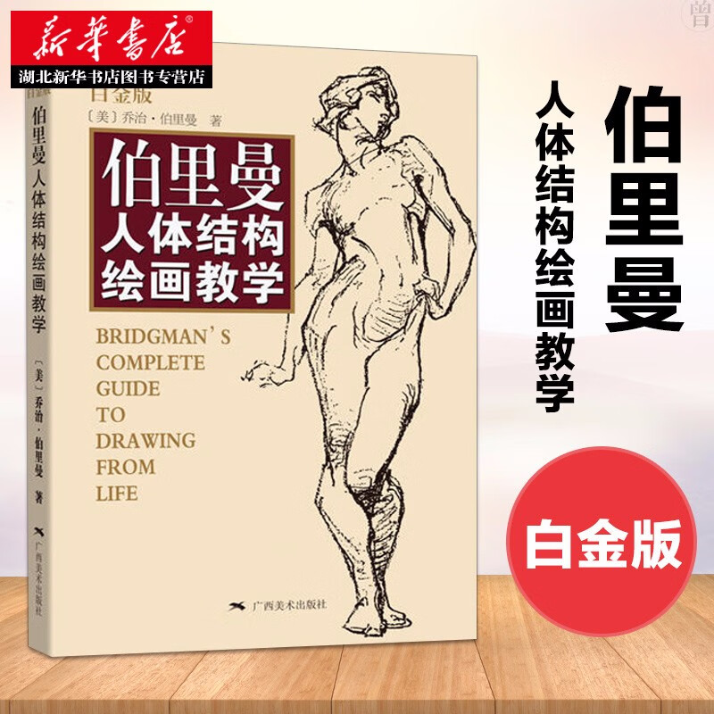 【白金版】伯里曼人体结构教学 人物速写入门基础绘画临摹书籍 透视技法自学头像美术艺术手绘教材湖北新华
