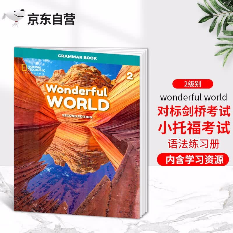 Wonderful World 语法练习册 2级别 缤纷世界1-6年级美国小学英语教材书英文进口原版NGL美国国家地理出版社