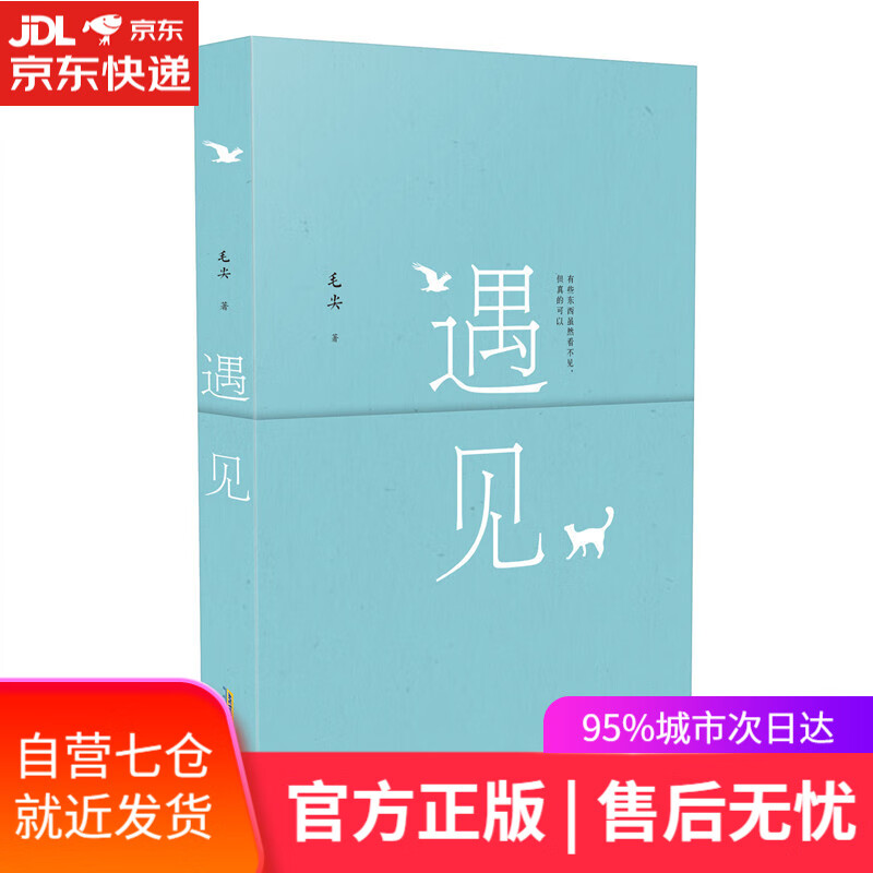 遇见 毛尖 安徽文艺出版社