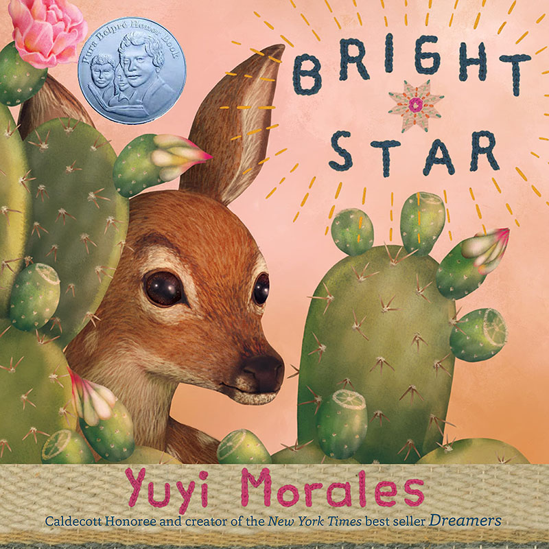 明亮的星 英文原版 Bright Star 儿童绘本