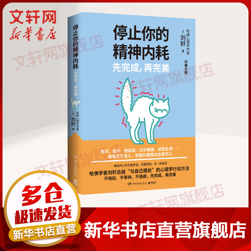 停止你的精神内耗 先完成,再完美 图书