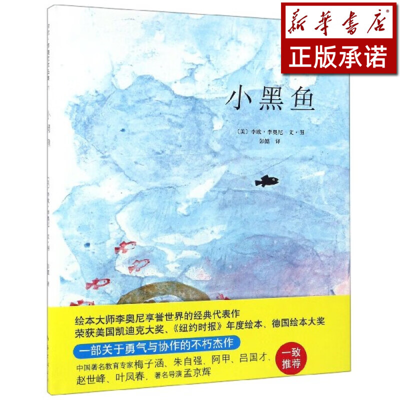 小黑鱼(精)