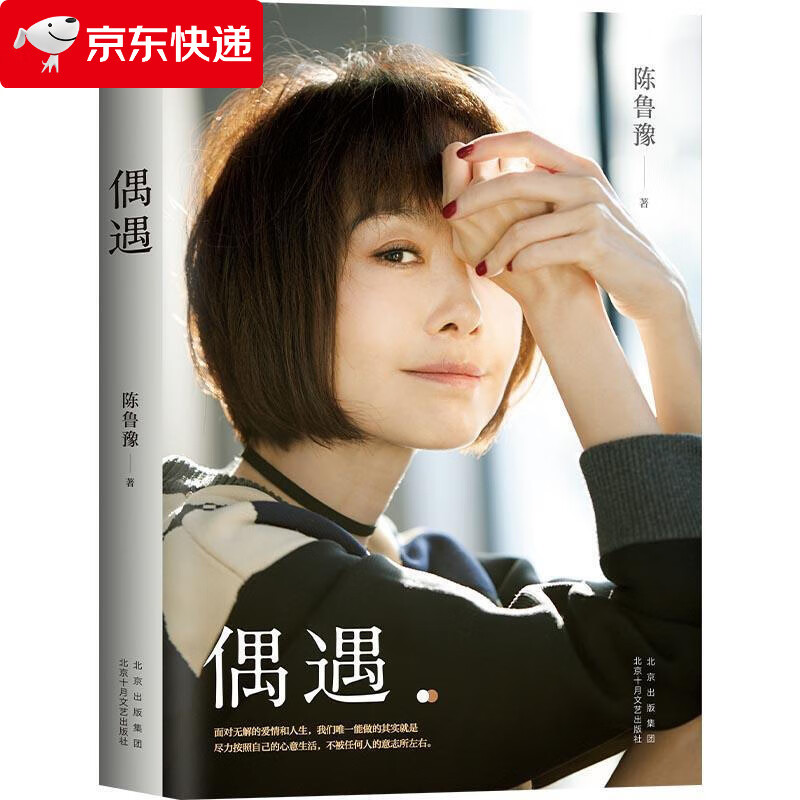 偶遇 陈鲁豫 9787530221273