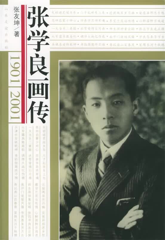 张学良画传 张友坤