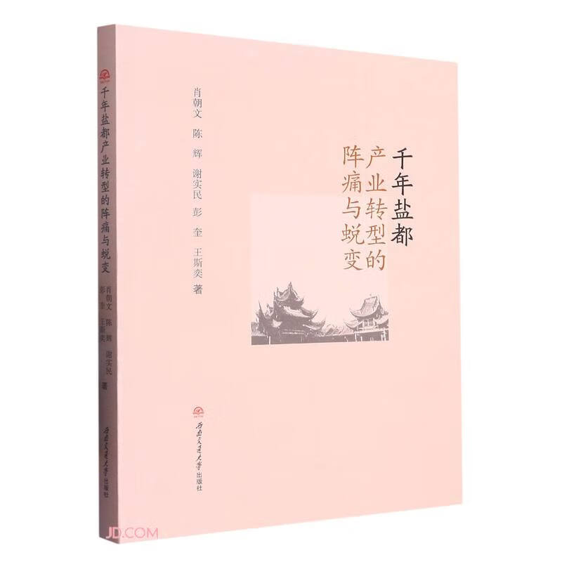 千年盐都产业转型的阵痛与蜕变