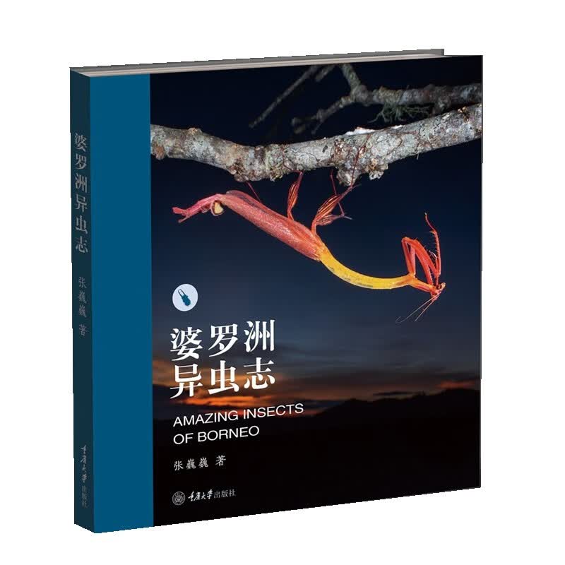 婆罗洲异虫志