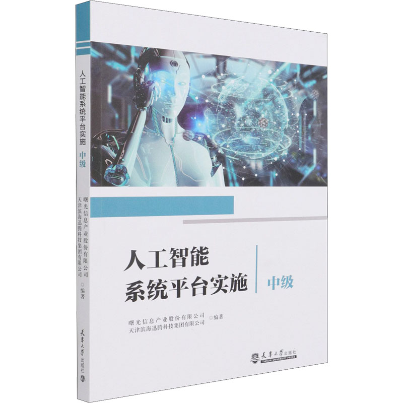 人工智能系统平台实施 中级 图书