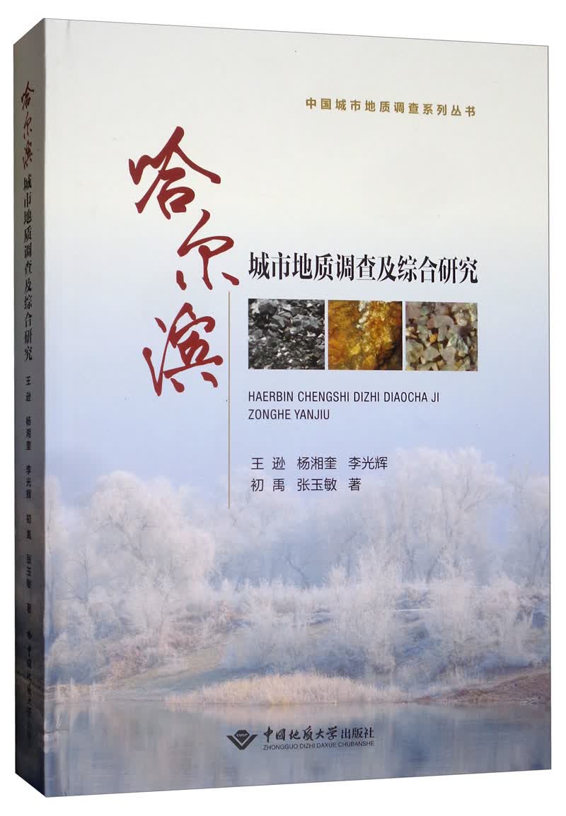 哈尔滨城市地质调查及综合研究/中国城市地质调查系列丛书