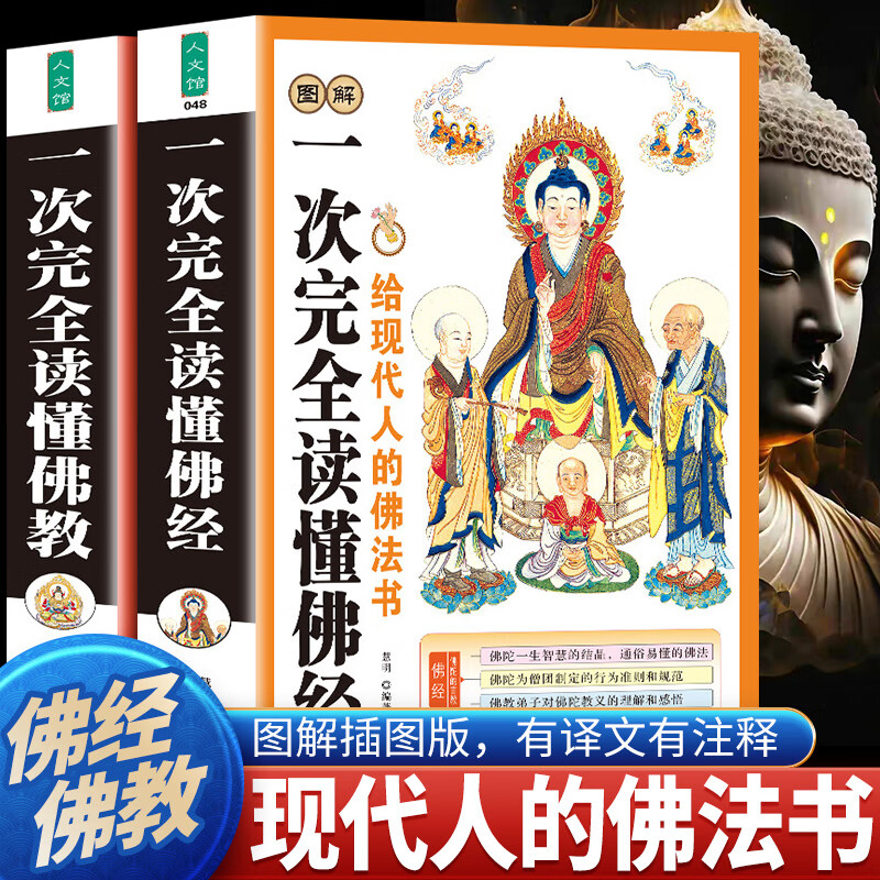 全2册图解一次完全读懂佛经佛教基础知识 佛家经典佛学入门书籍 【全2册】图解一次完全读懂佛教+佛经