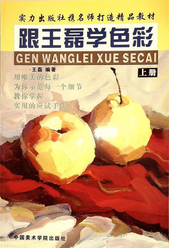 跟王磊学色彩 王磊 编著【书】