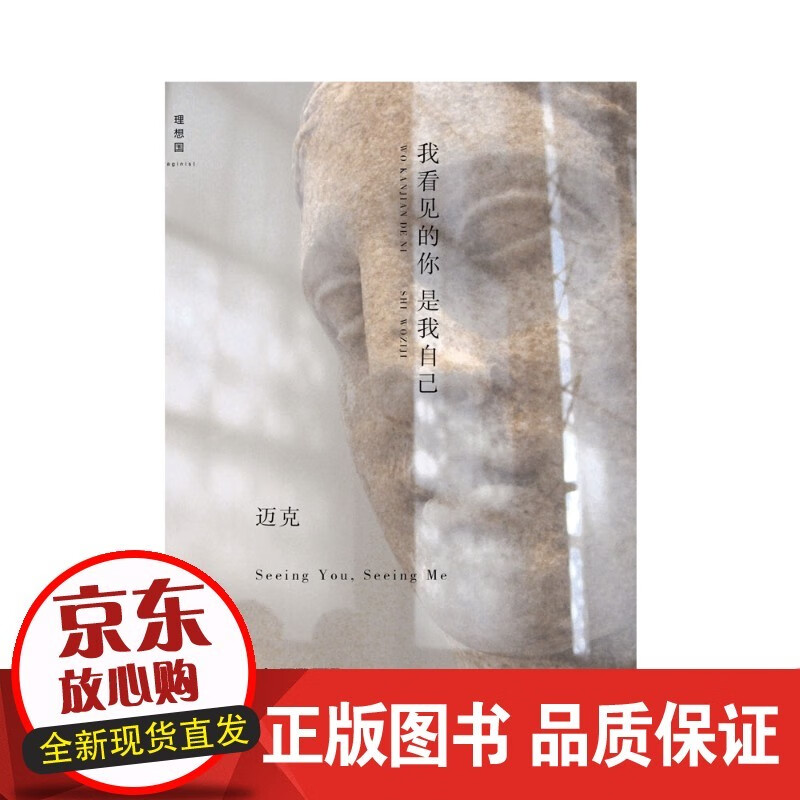 我看见的你是我自己 迈克 著