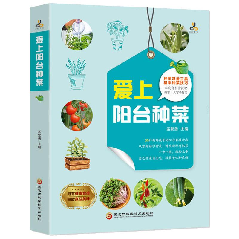 爱上阳台种菜