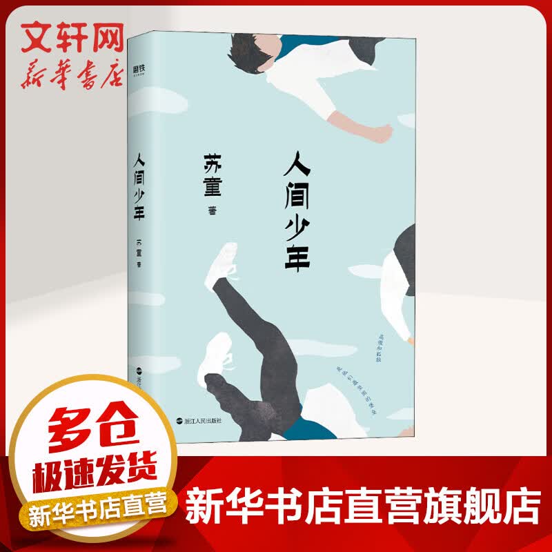 人间少年 苏童作品集
