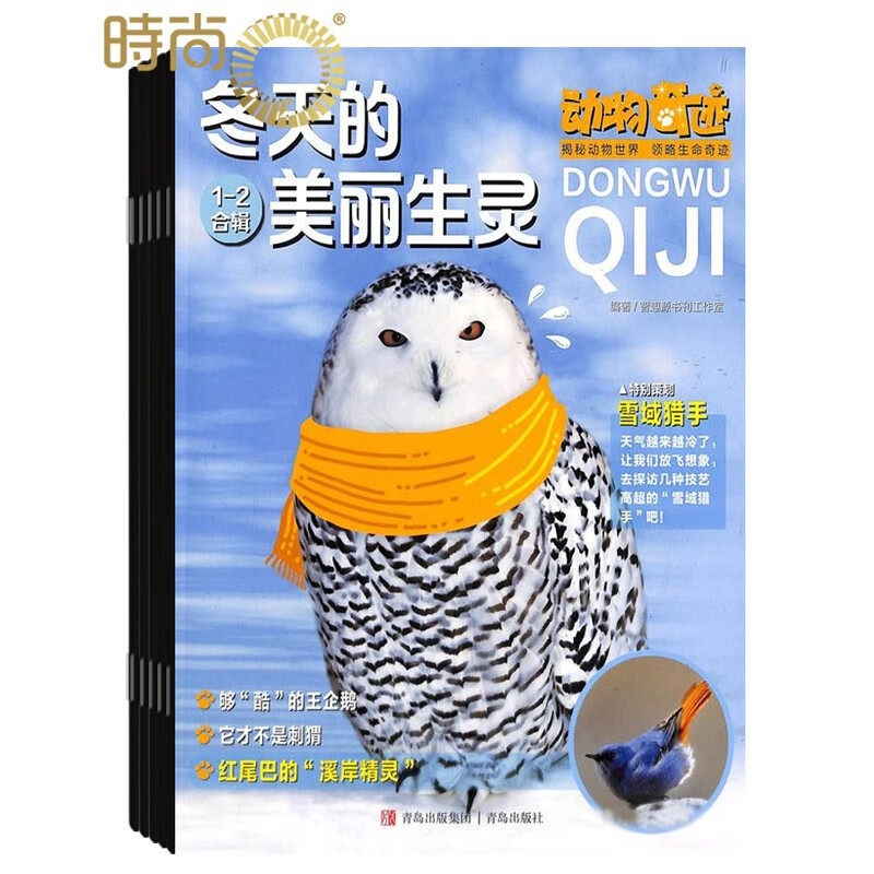 青少动物奇迹杂志2023年全年杂志订阅10月起订一年共12期