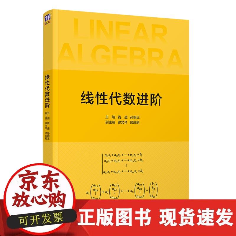 【现货】线性代数进阶