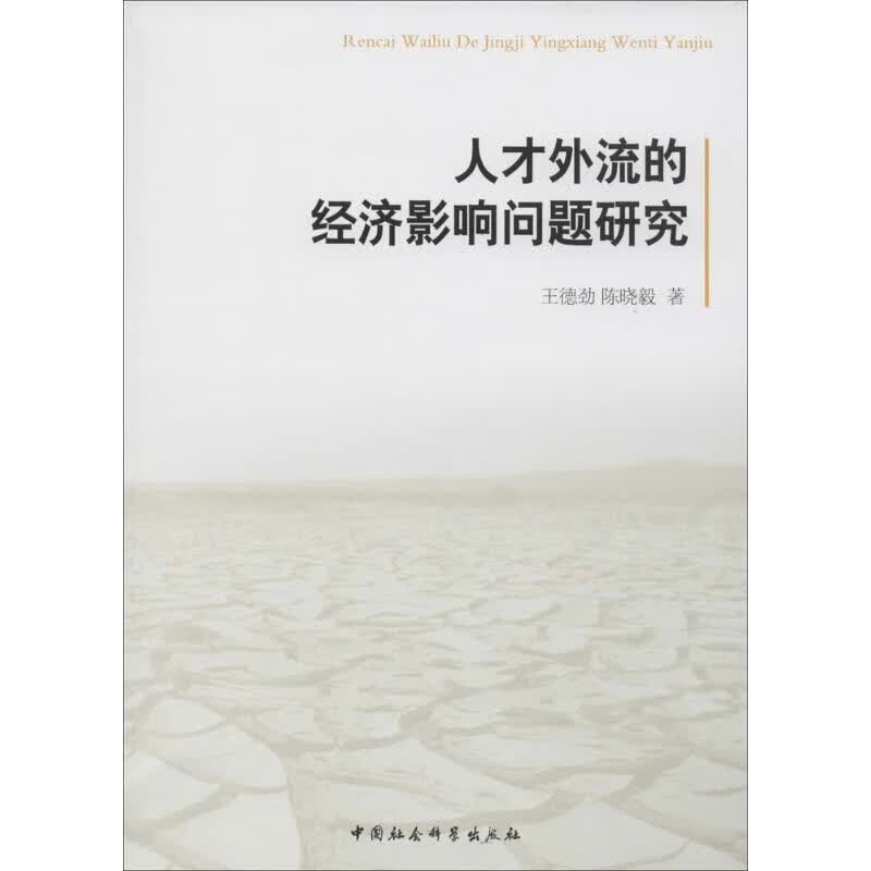 人才外流的经济影响问题研究 王德劲,陈晓毅 著【好书，下单速发】