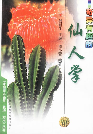 奇异有趣的仙人掌