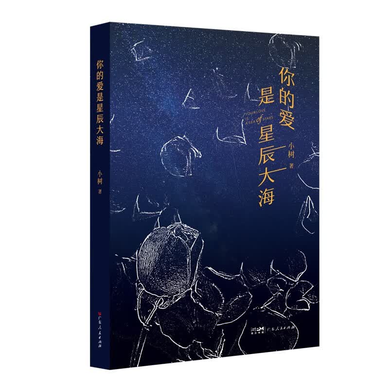 你的爱是星辰大海：治愈童年创伤与过去的自己和解 一名成长女性的励志小说