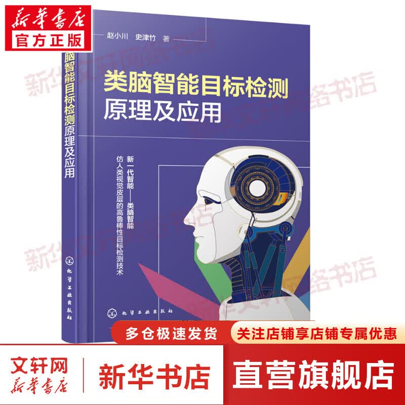 类脑智能目标检测原理及应用 图书