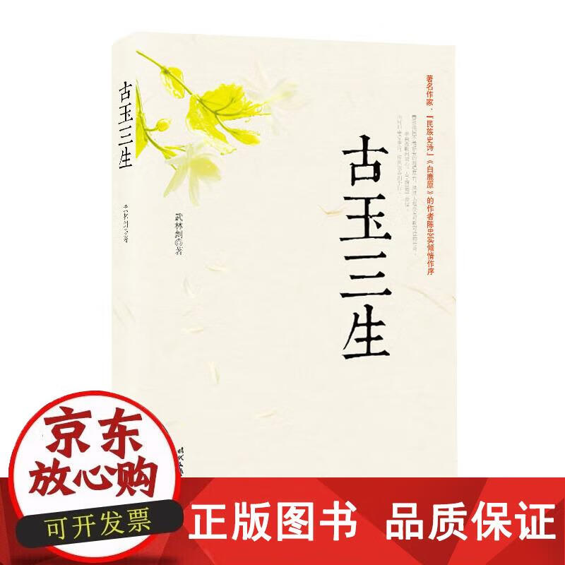 古玉三生 武林剑 9787538752076