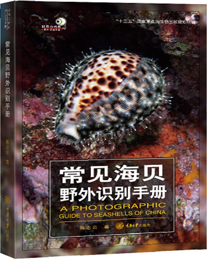 常见海贝野外识别手册