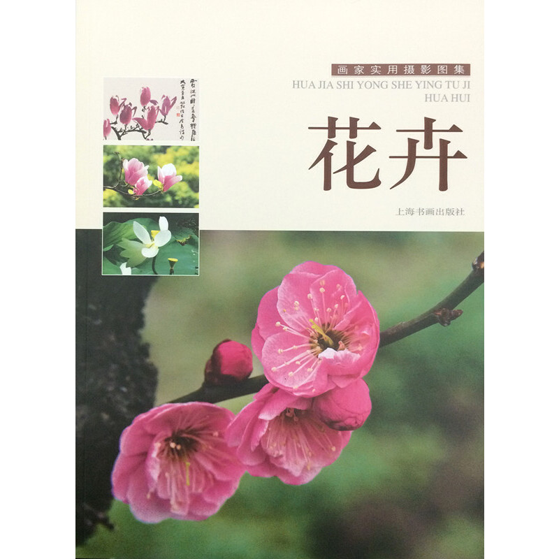 花卉(画家摄影图集)
