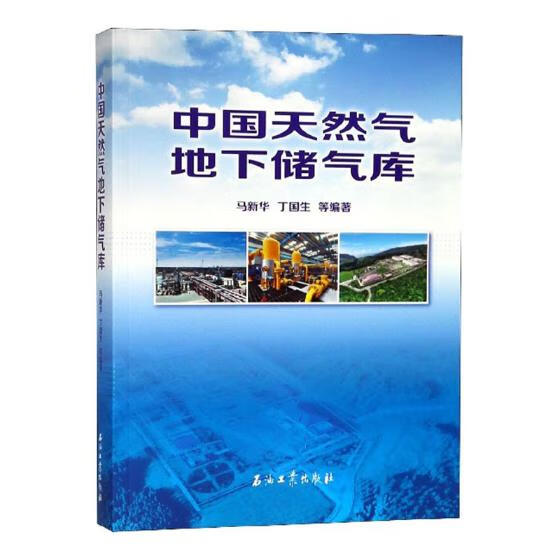 中国天然气地下储气库 工业技术 书籍