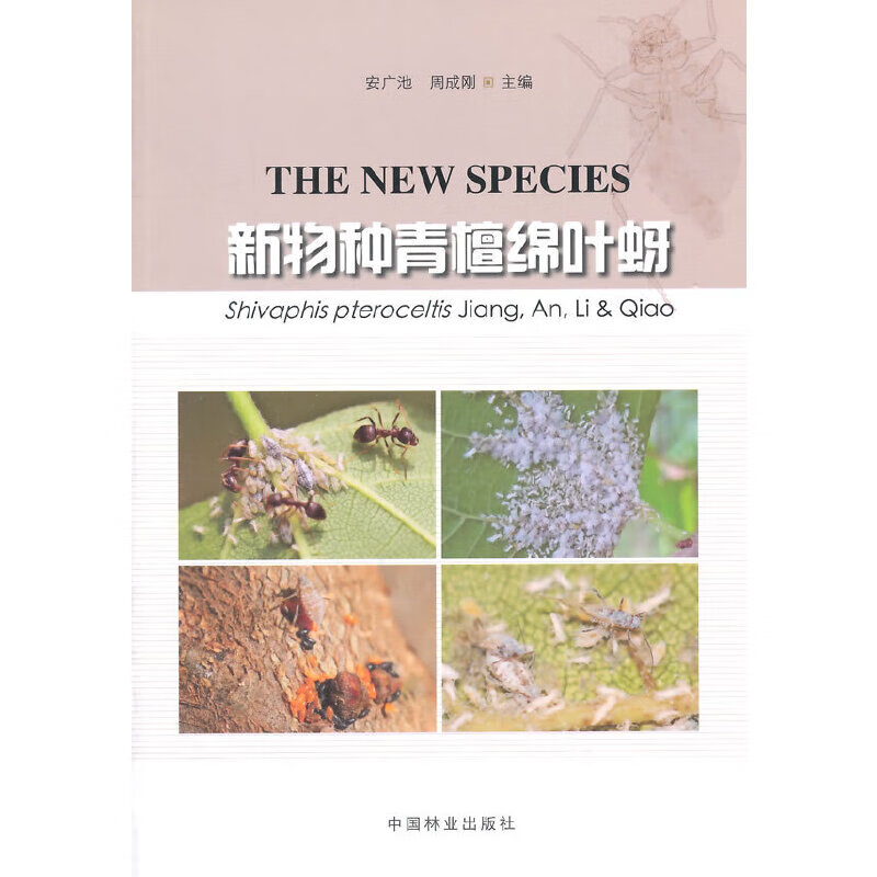 【现货】新物种青檀绵叶蚜