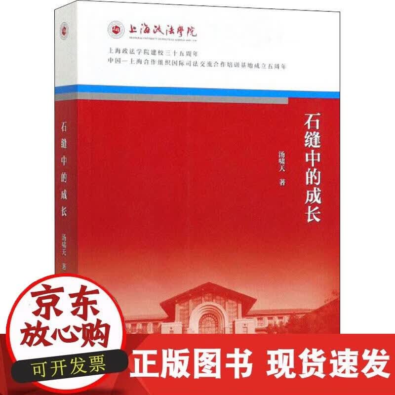 【现货】石缝中的成长
