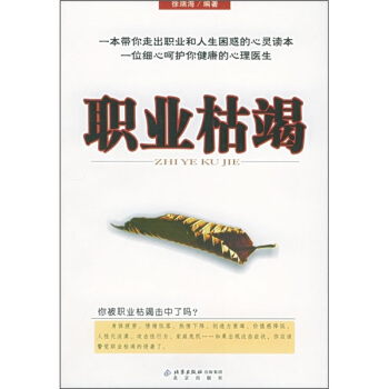 职业枯竭 徐端海 著
