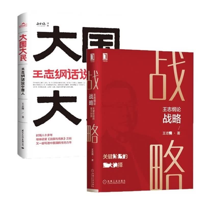王志纲论战略:关键阶段的重大抉择 大国大民(王志纲话说中国人) 王志纲论战略+大国大民