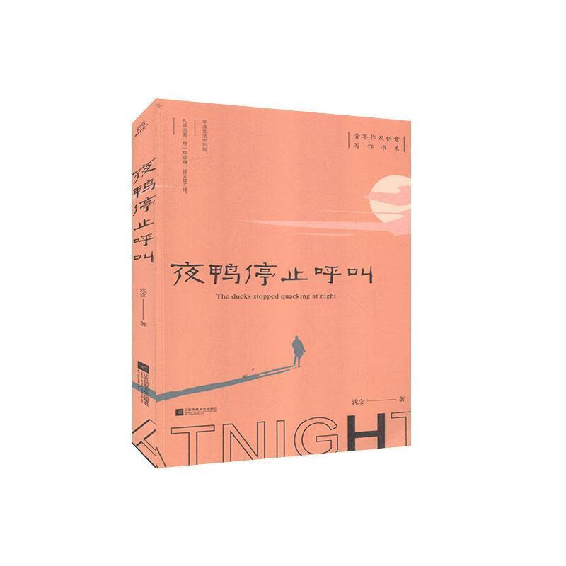 夜鸭停止呼叫 青年作家创意写作书系 沈念 著