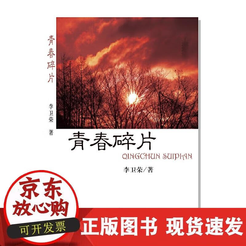 【现货】青春碎片