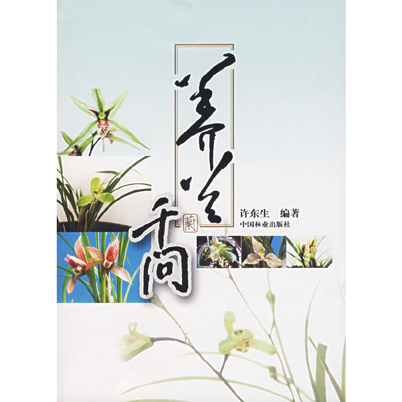 养兰千问