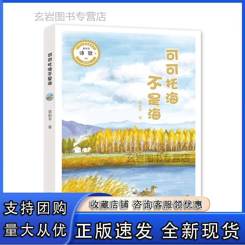 n可可托海不是海