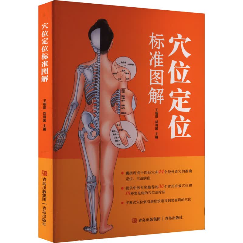 穴位定位标准图解 图书